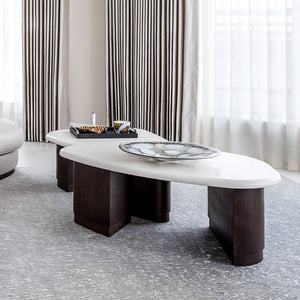 The Clark Elegantly Lacquered Coffee Table with Dark Oak Veneer Base